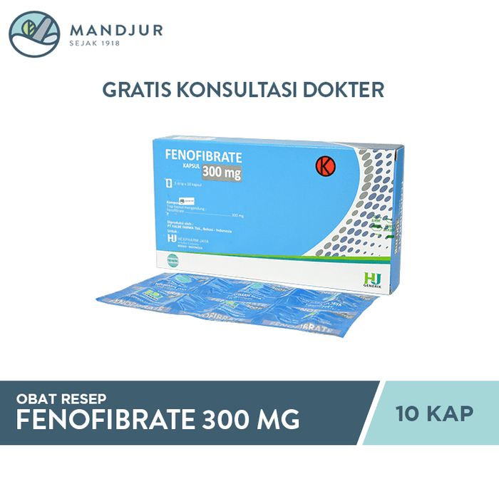 Fenofibrate 300 Mg Strip 10 Tablet — Apotek Mandjur