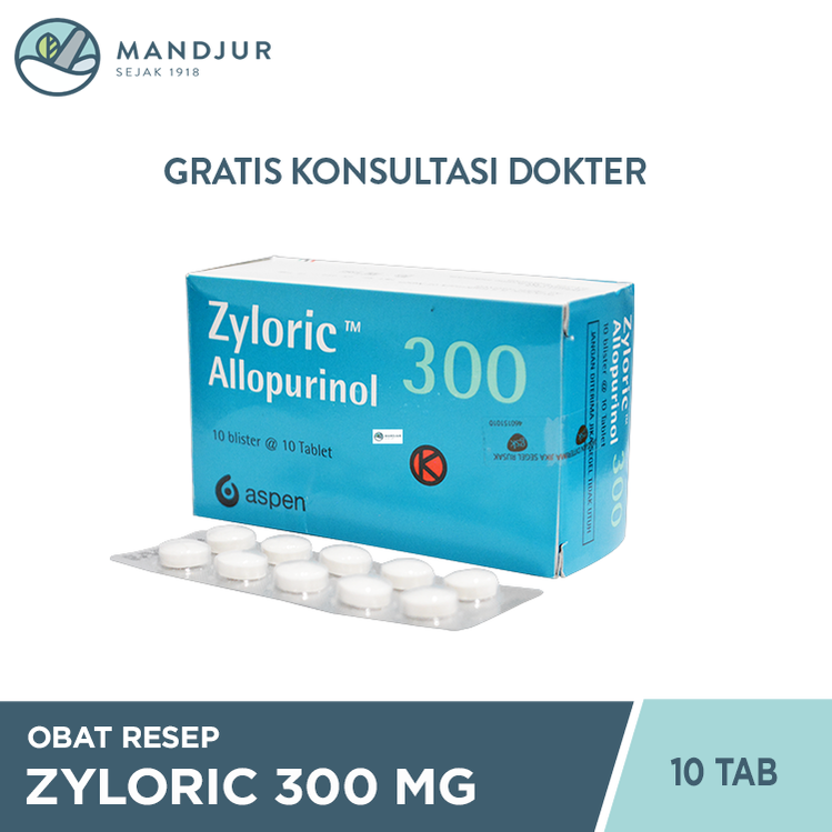 Zyloric 300 Mg Strip 10 Tablet — Apotek Mandjur