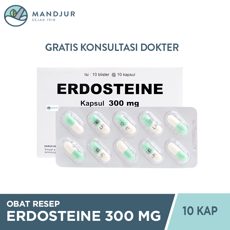 Erdosteine 300 Mg 10 Kapsul — Apotek Mandjur
